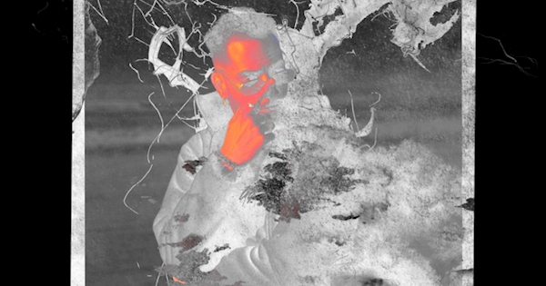 Solid Smoke - Phoenix