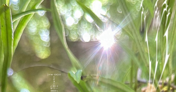 Xamd - world's end morning - Single