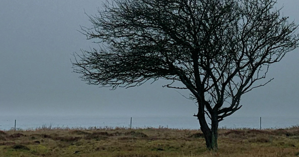 Martin Fabricius - Lav Sol