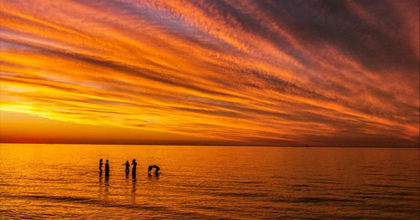 Timothy Wenzel - Immerse