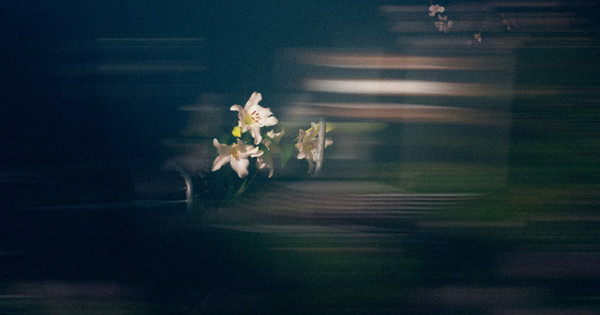 Pauli, Z The Freshman - Berlin