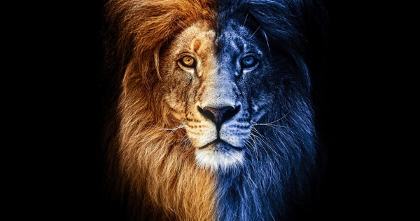 Arthur Kitchener - The Lion Of London Bridge