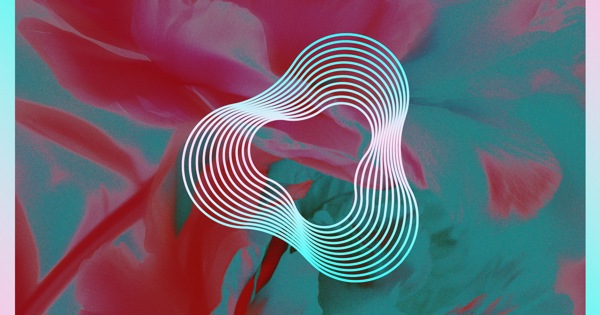 Cadence by Leon Hardy