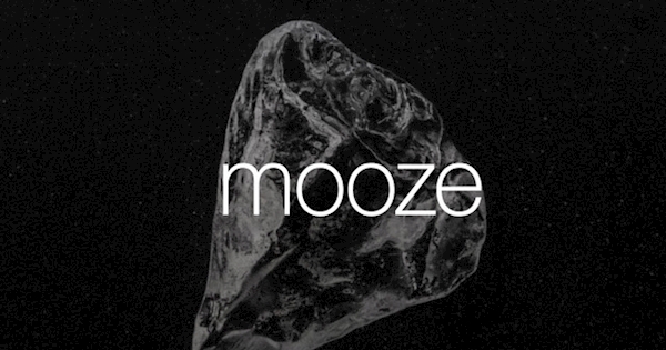 MOOZE