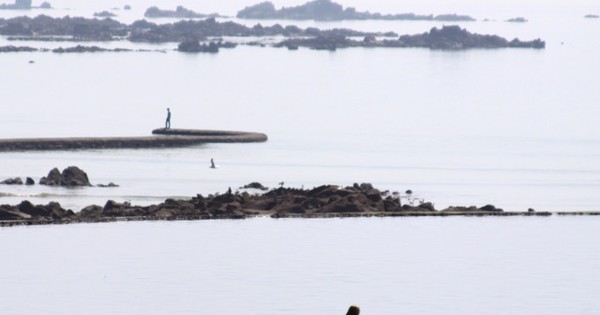 Hayley Morton - Mermaids