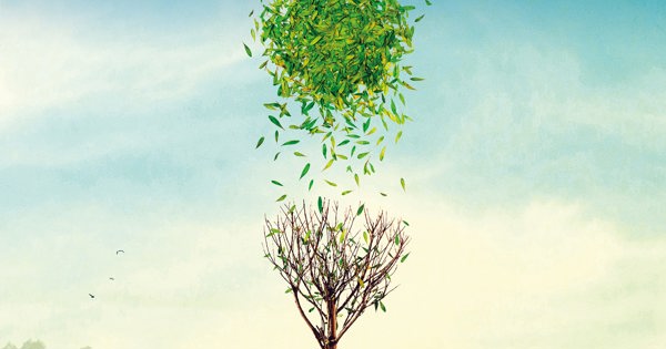 Wind Of Change - Progressive Sounds Of 1973, 4CD Box Set