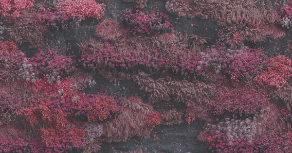 Sleep Token - Even in Arcadia