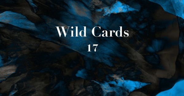 Numeric Space, Ampermut, Maarten Spoor - Wild Cards 17