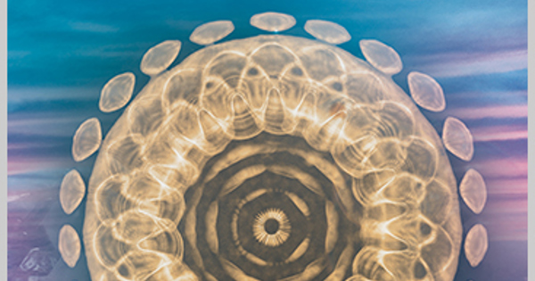 Sacred Vibrations