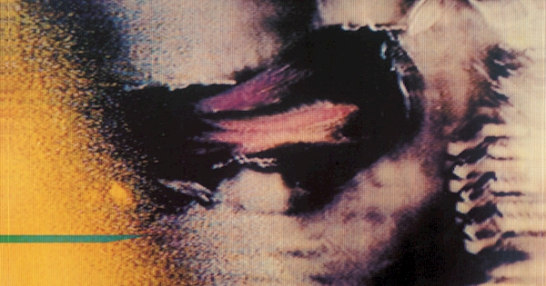 Miles Davis - Dark Magus: Live At Carnegie Hall