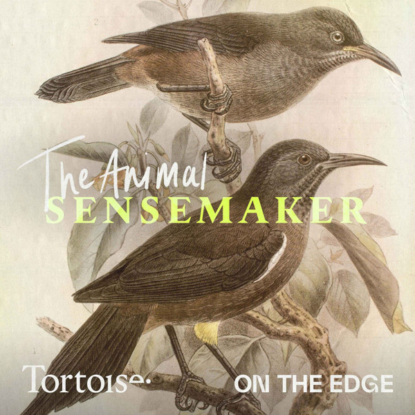 Kauaʻi ʻōʻō bird: the final call