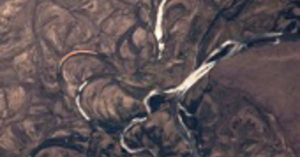 Gavin Miller - Meander Scars