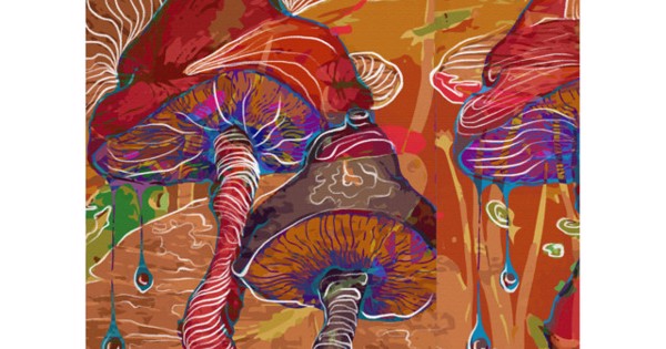 The Psychedelic Fellowship - Horizontal Refreshments