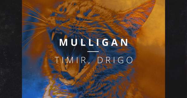 TimiR, Drigo