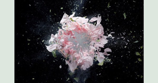 Zedd - The Middle