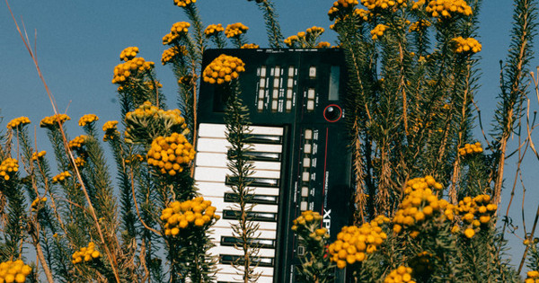 uBeyond, Tojié Cai, Dan Gregory - Bee's Worx