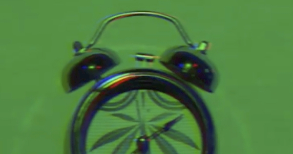 HEMP SHOCK CREW - Kemono - Single