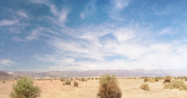 Roy Edwin Williams - Wide Open Spaces