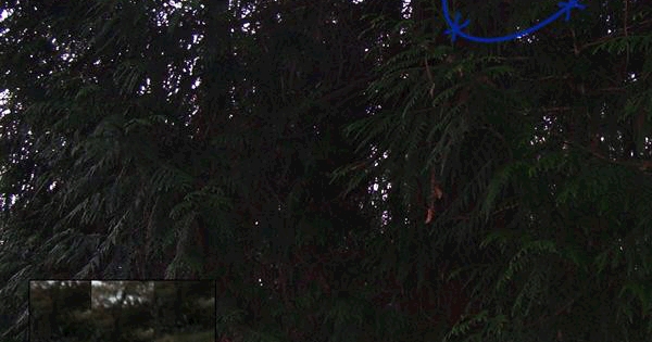 Roscoe Fox - Three Candles