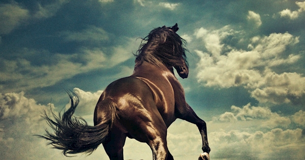 Bruce Springsteen - Hello Sunshine