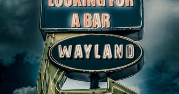 Wayland - Looking for a Bar