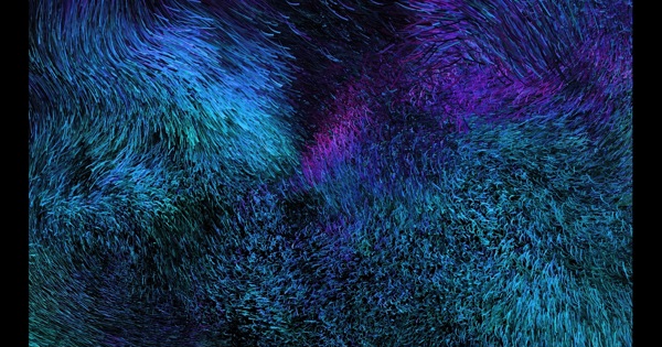 Budakid - Freedom Ep - Single