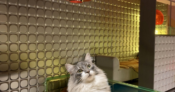 W.K.T.K.SYNDROME - Fleeting Hallucination - EP