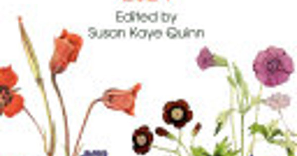 BGF 24 on Google Play