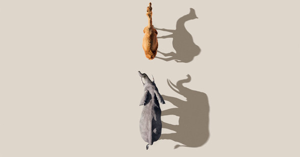 Thomas Farnon - Mammals (Original Television Soundtrack)