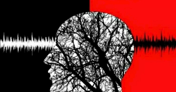 Collen Stiefler - Special