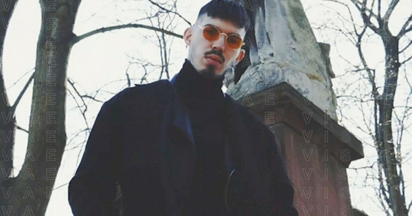 VAE VISTIC - AVE VAE