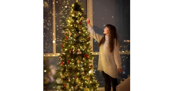 Cat Bernardi - O Come All Ye Faithful (Adeste Fideles)