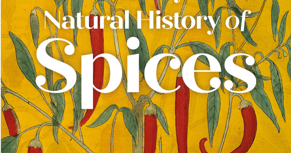 The History and Natural History of Spices