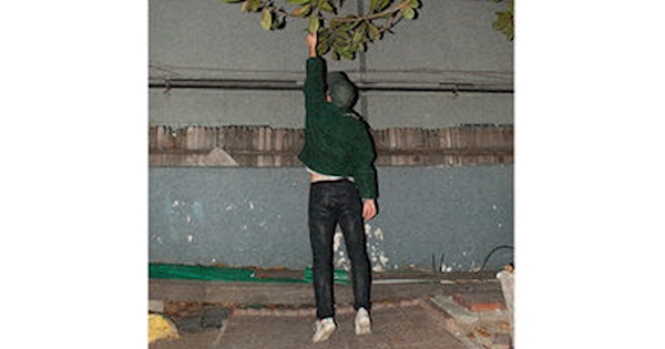 Wallows - Pulling Leaves off Trees