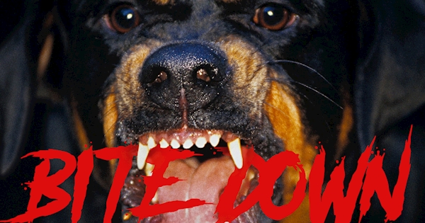 Bite Down (feat. TC Low & Mbjoemari)