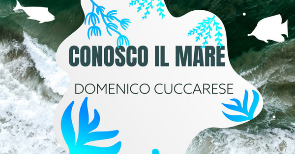 Domenico Cuccarese - Conosco il mare
