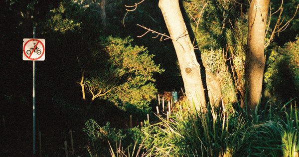 Surprise Chef - Pash Rash