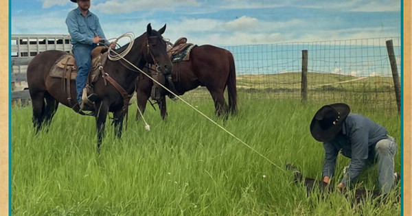 Colter Wall - Cypress Hills and the Big Country