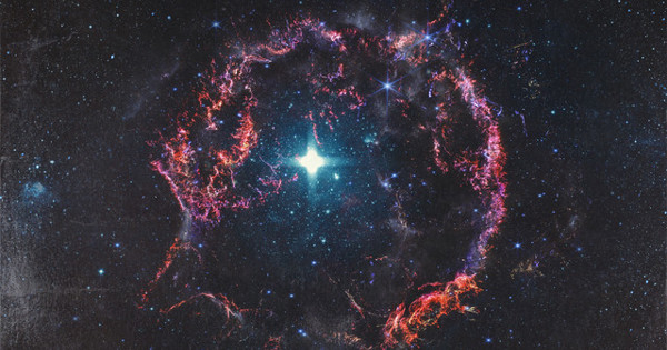 Roots and Recognition - Cosmic Circle