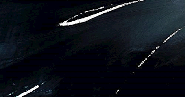 Muthspiel/Colley/Blade - Angular Blues