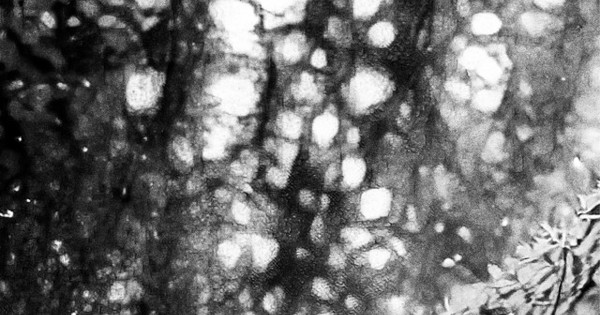 CCTemple, Fedaden - First Exploration (Fedaden Rework)