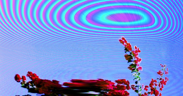 Friendly Fires - Inflorescent