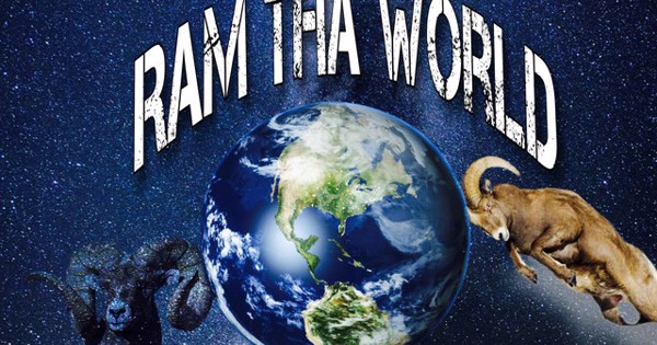 Rell Shellz, Db33 - Big Bag