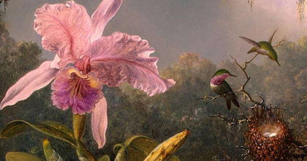 John Brownlow - The Summertime