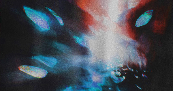 ADD9, Amit Shauli, Protocol Lab - Alive