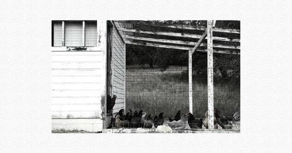 Kip Nelson - Trembling Spirit