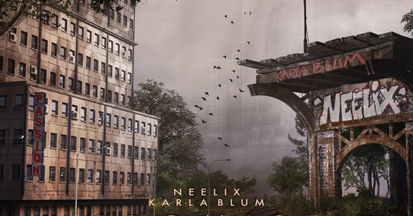 Neelix x Karla Blum – Promise