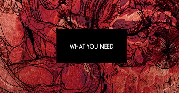 Seth Dyer - What You Need