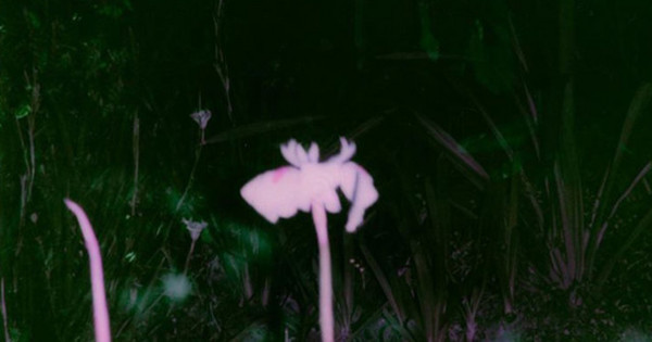 Skin Town - Tease Ya