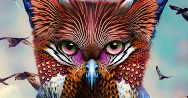 Galantis - The Aviary
